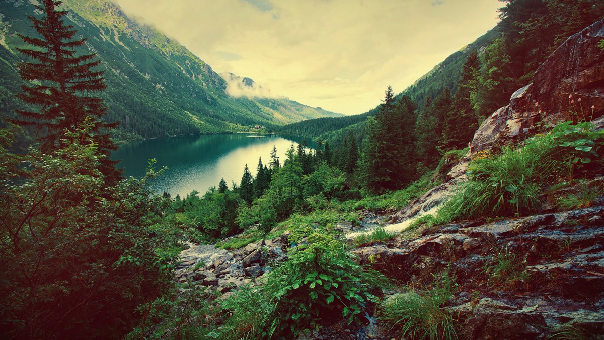 NUEVA ÁREA DE ENFOQUE DE RI | Revista Colombia Rotaria